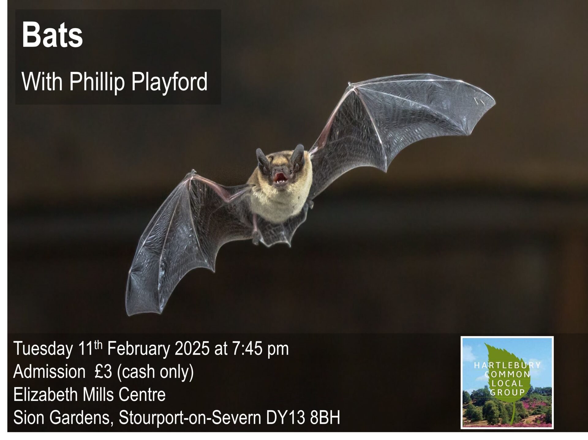 Tuesday 11th February 2025 - Bats with Phillip Playford - Hartlebury ...